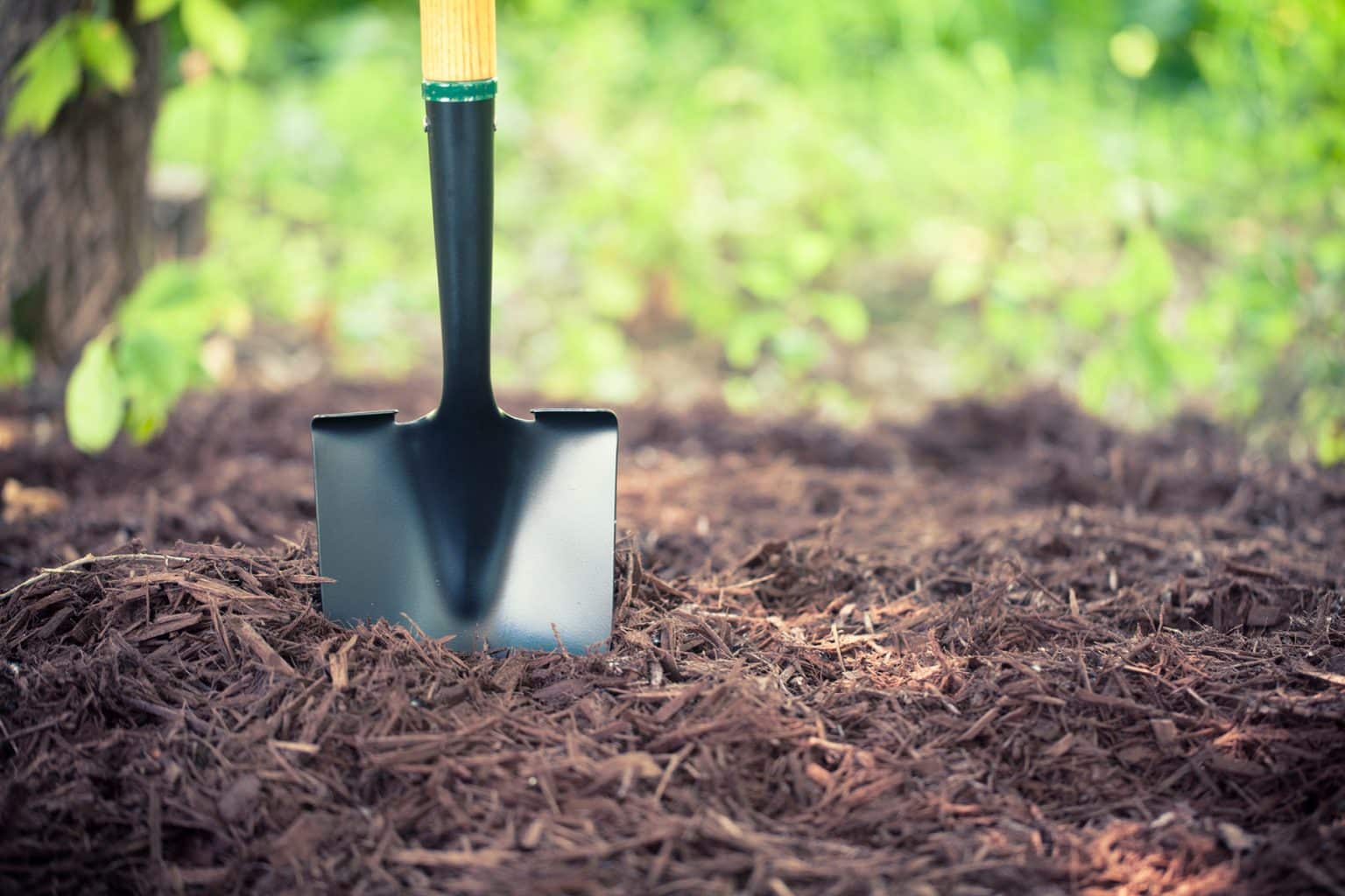 Products - Hammond Farms - Landscaping Supplies